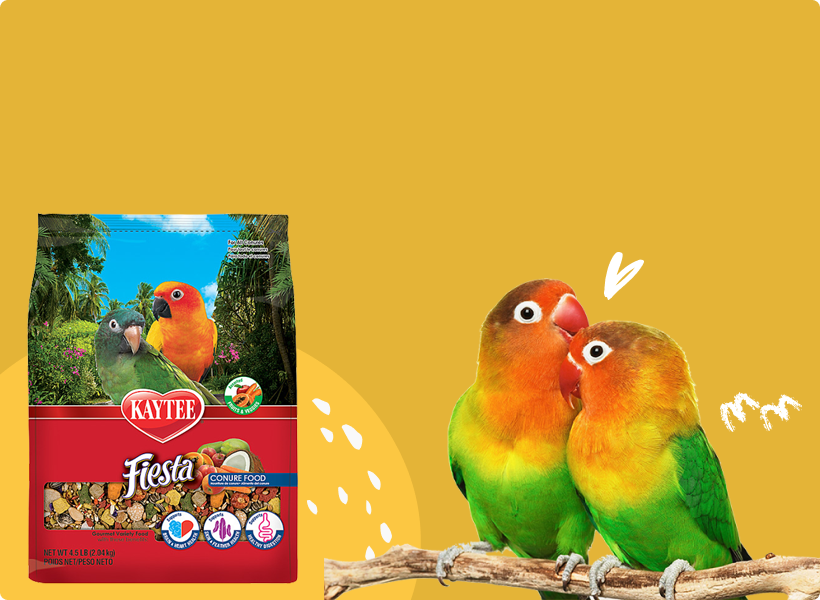 Rascals Pet Supplies