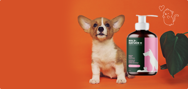 Rascals Pet Supplies